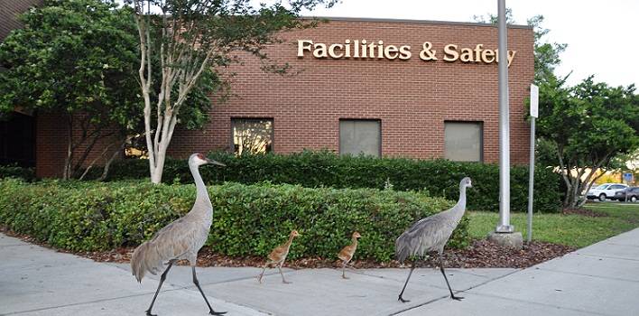 Administration & Finance Business Center – UCF Facilities and Business ...